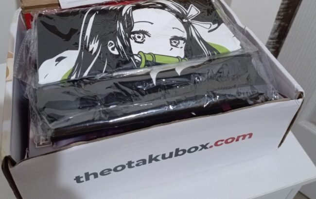 April 2024 Otaku Box Unboxing: Monster Maids, Fierce Slayers, And ...